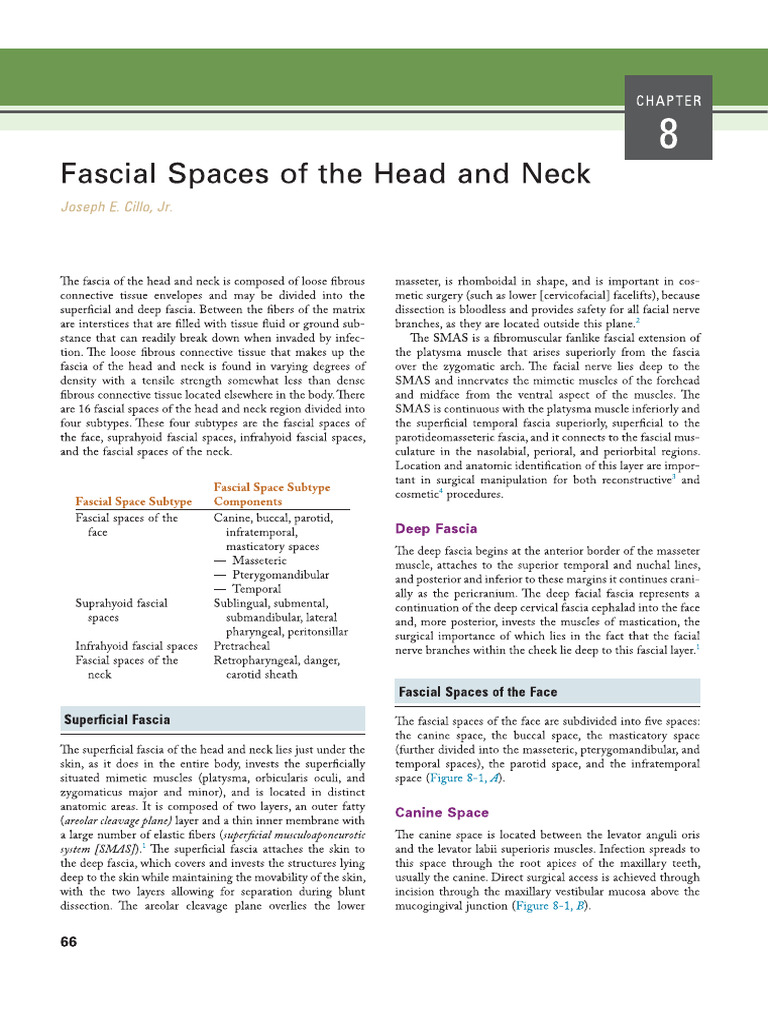 Fascial Spaces Of The Head And Neck Pdf