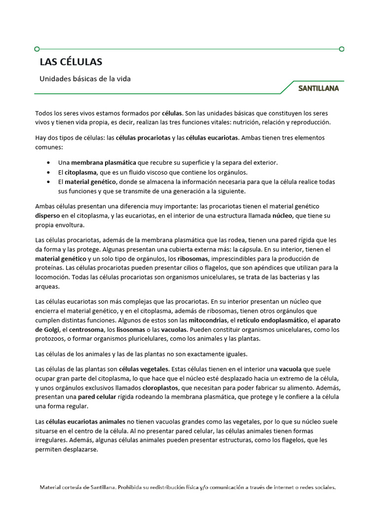 Resumen - Las Celulas | PDF | Biología Celular) | Citoplasma