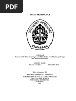 Nota Ringkas Morfologi SPM | PDF