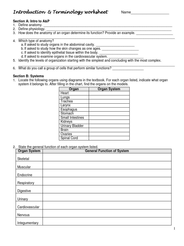 Intro and Terminology Worksheet | Download Free PDF | Anatomical Terms ...