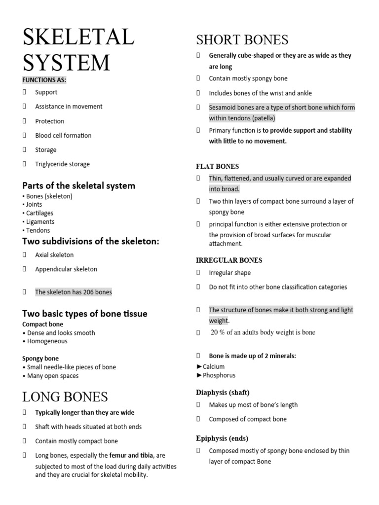 Skeletal System | Download Free PDF | Vertebra | Skull