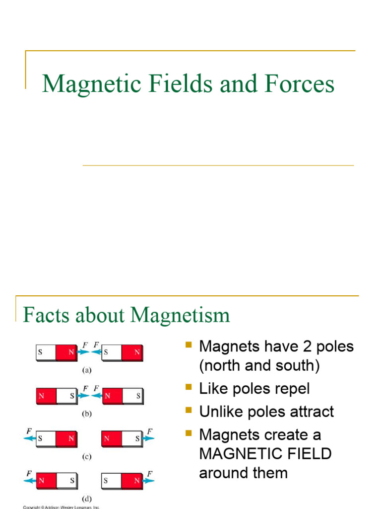 Magnetism for Physics Students | PDF | Magnetic Field | Mass Spectrometry