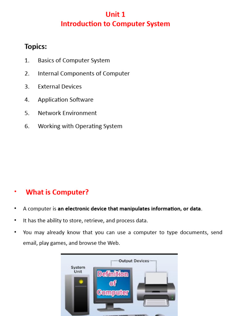 Basics of Computer System | PDF | Computer Data Storage | Computer Monitor