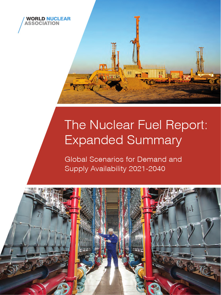 Nuclear Fuel Report 2021 Expanded Summary | PDF | Nuclear Power ...