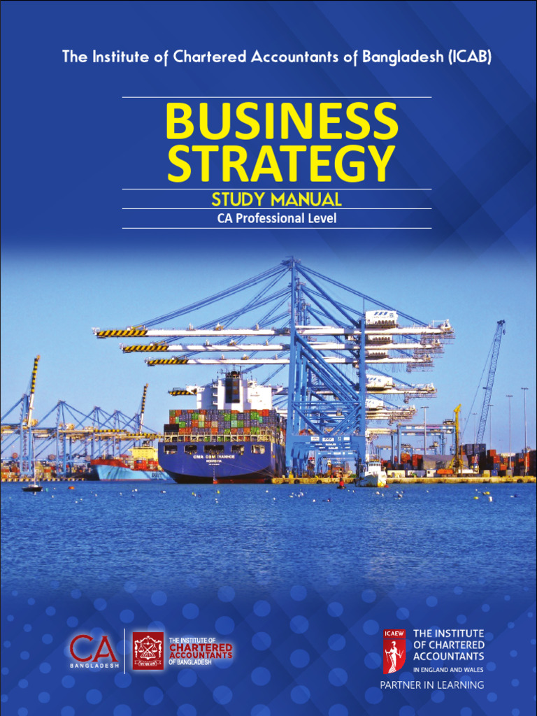 Business Strategy Overview for CA Professionals | PDF | Strategic ...