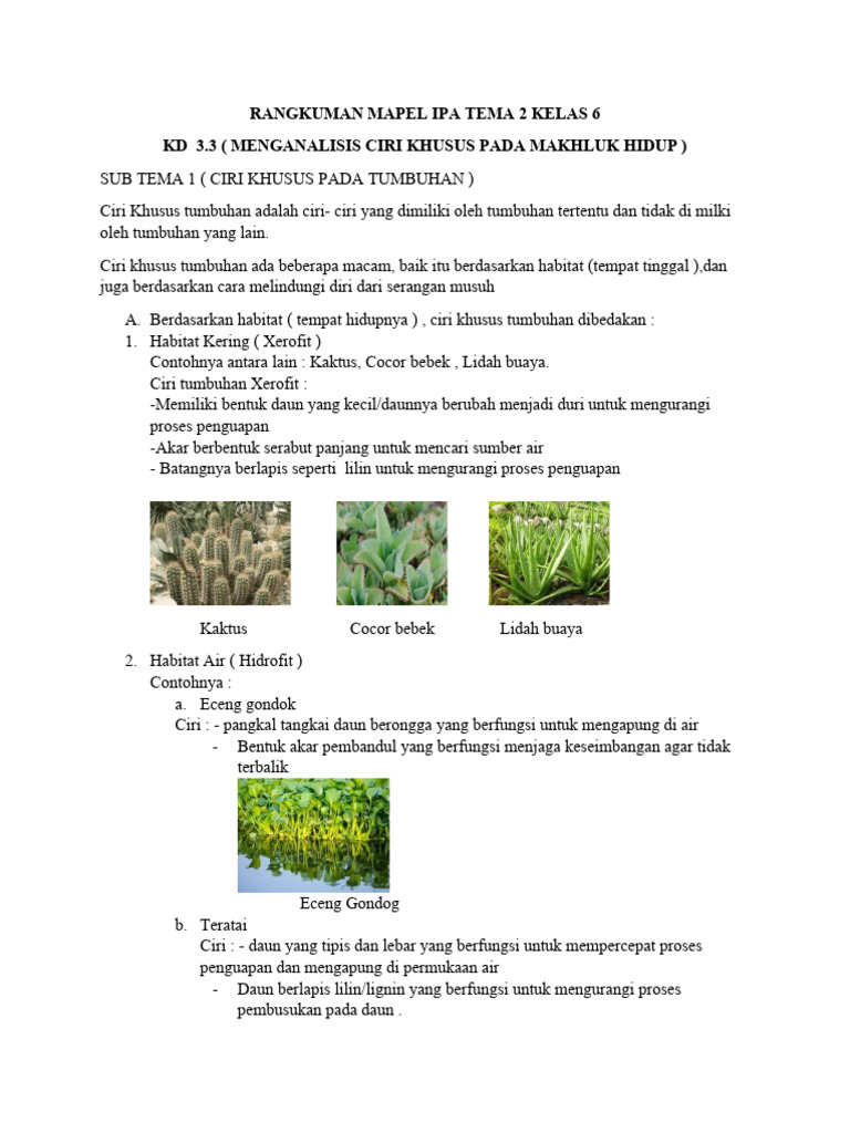 Rangkuman Mapel Ipa Tema 2 Kelas 6 | PDF