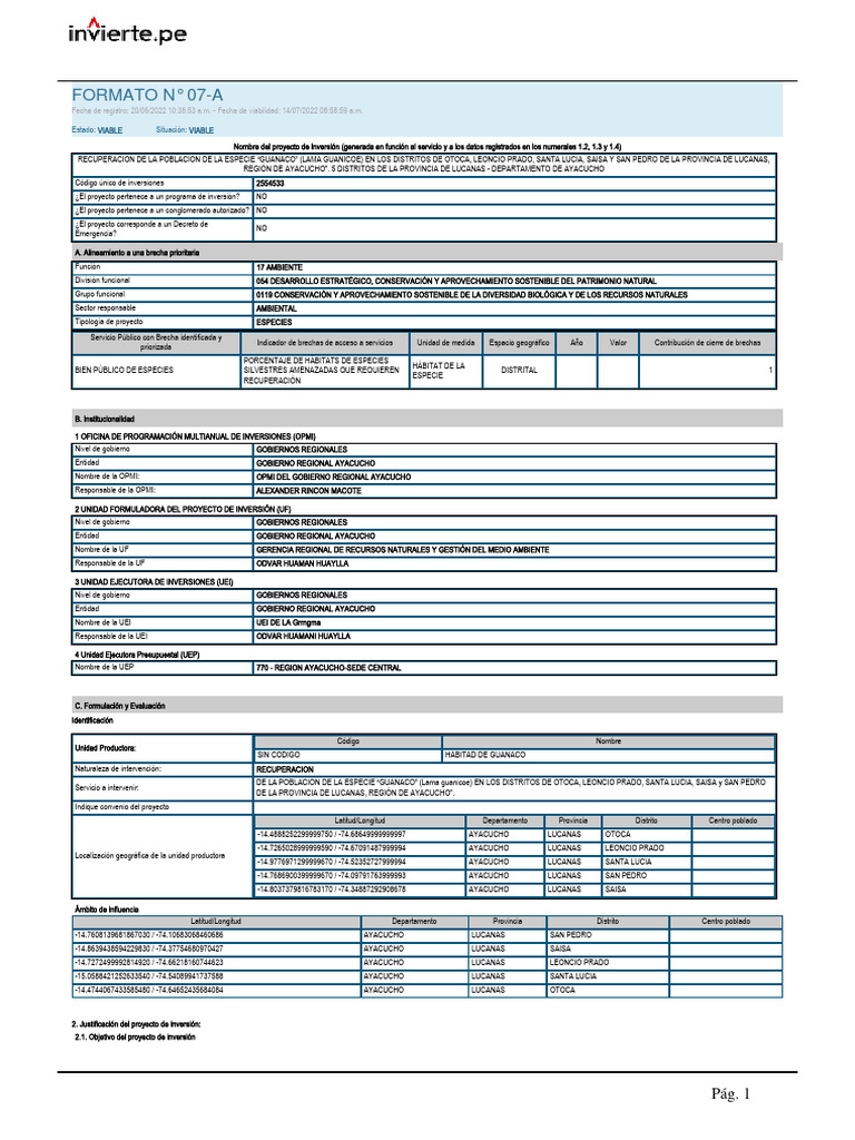 Formato 7a | Descargar gratis PDF | Infraestructura | Tasa interna de ...