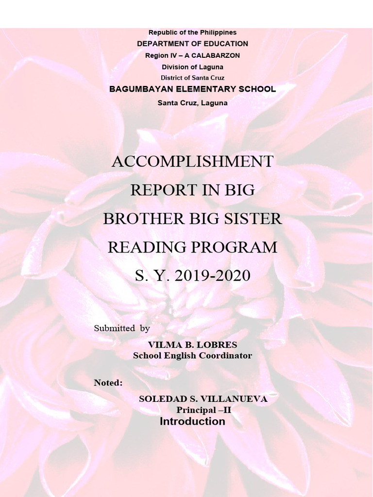 Accomplishment Report in BIG BROTHER BIG SISTER Program | PDF | Teachers | Educational Technology