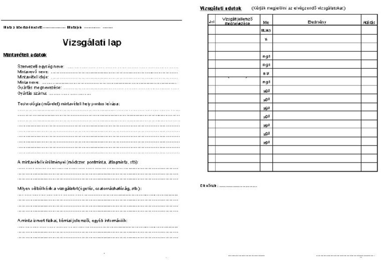 Vizsgálati Lap | PDF