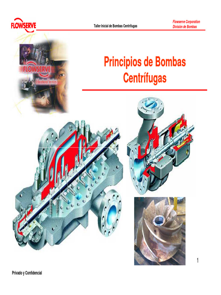 Principio de Bombas Centrifugas | PDF | Bomba | Rodamiento (Mecánico)