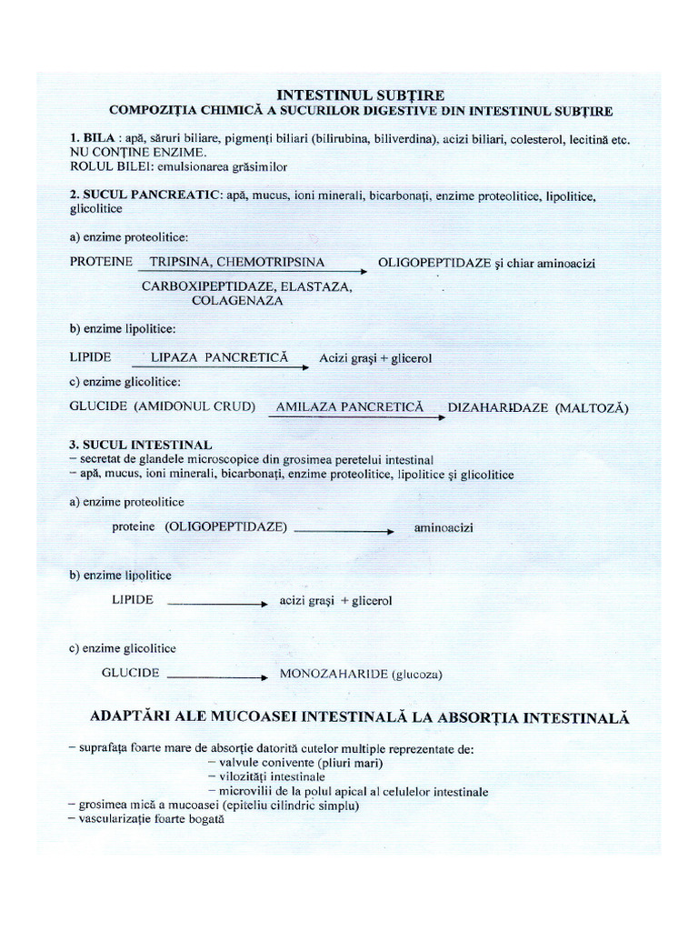 Intestin Subtire Sucuri Gastrice | PDF