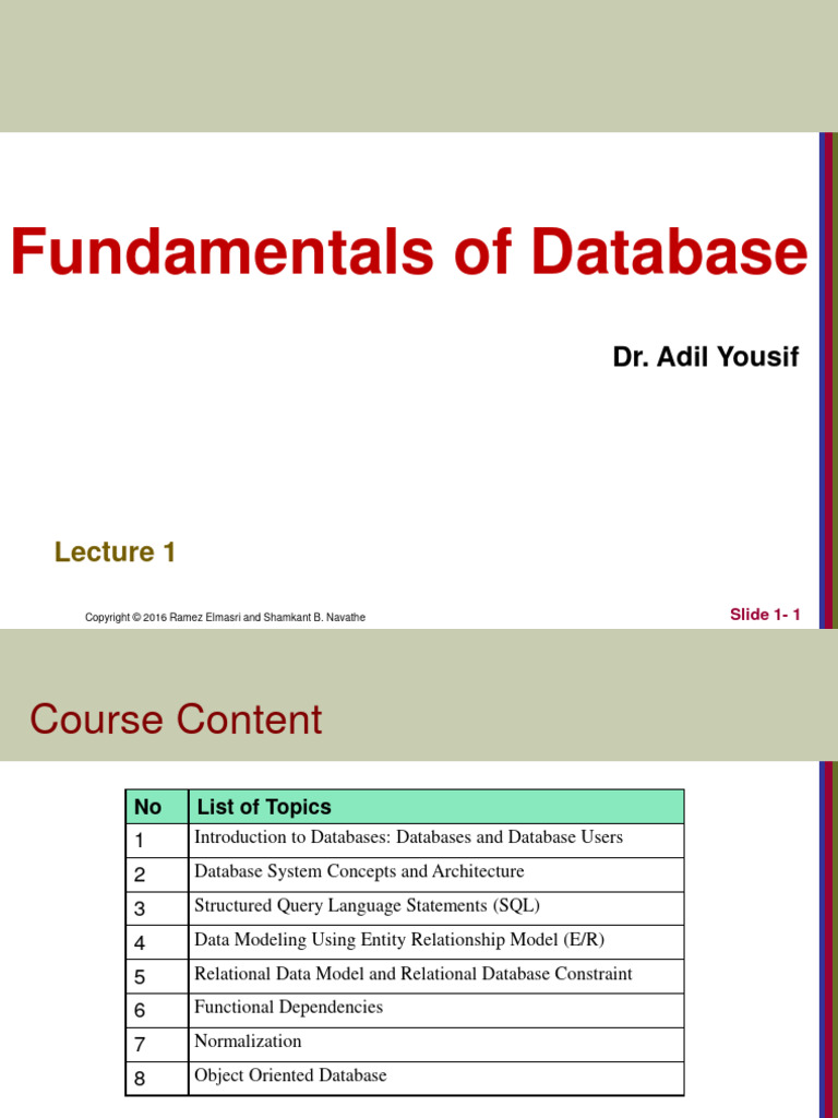 Lecture 1 Pdf Databases Relational Model
