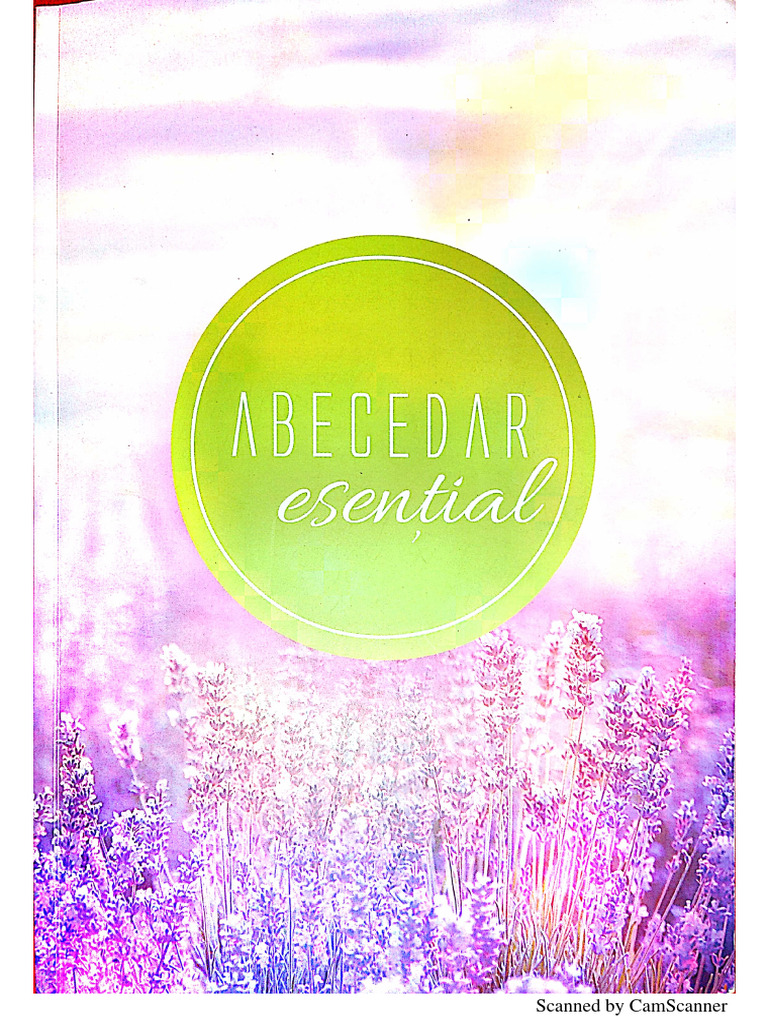Abecedar Esențial | PDF