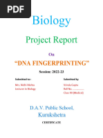 Dna Fingerprinting Investigatory Project 2024-25 Class-12 | PDF | Gel ...