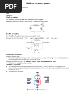Blood Circulation Flow Chart | PDF