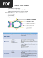 Cours 2-La Paroi Pectocellulosique PDF | PDF | Paroi cellulaire | Lignine