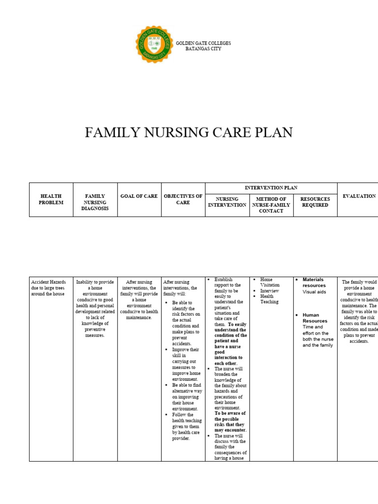 Sample Family NCP | Download Free PDF | Nursing | Risk