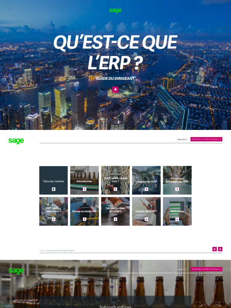 BMS ERP Guide FR | PDF | Progiciel de gestion intégré | Cloud computing