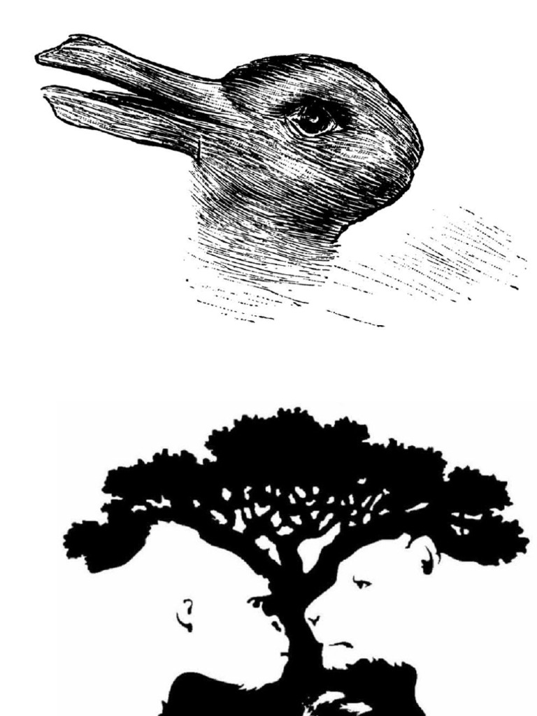 Imagini Duble | PDF