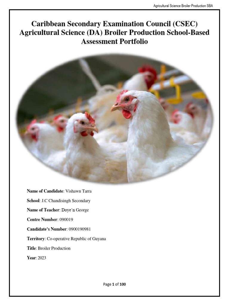 Vishawn's Broiler SBA | PDF | Broiler | Chicken