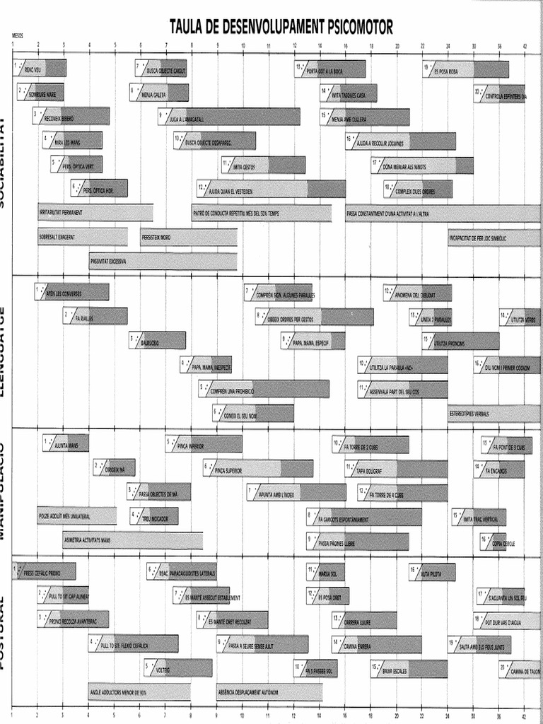Taula de Desenvolupament Psicomotor - Haizea-Llevant-Adaptada | PDF