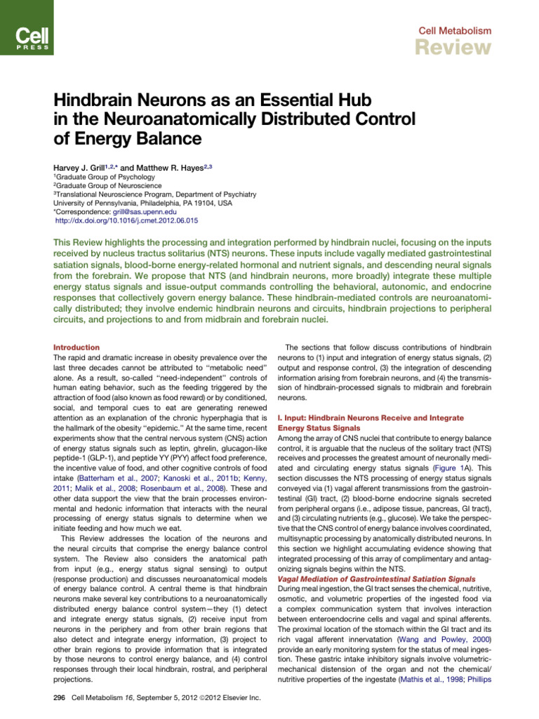 Hindbrain Neurons As An Essential Hub in The Neuroanatomically ...