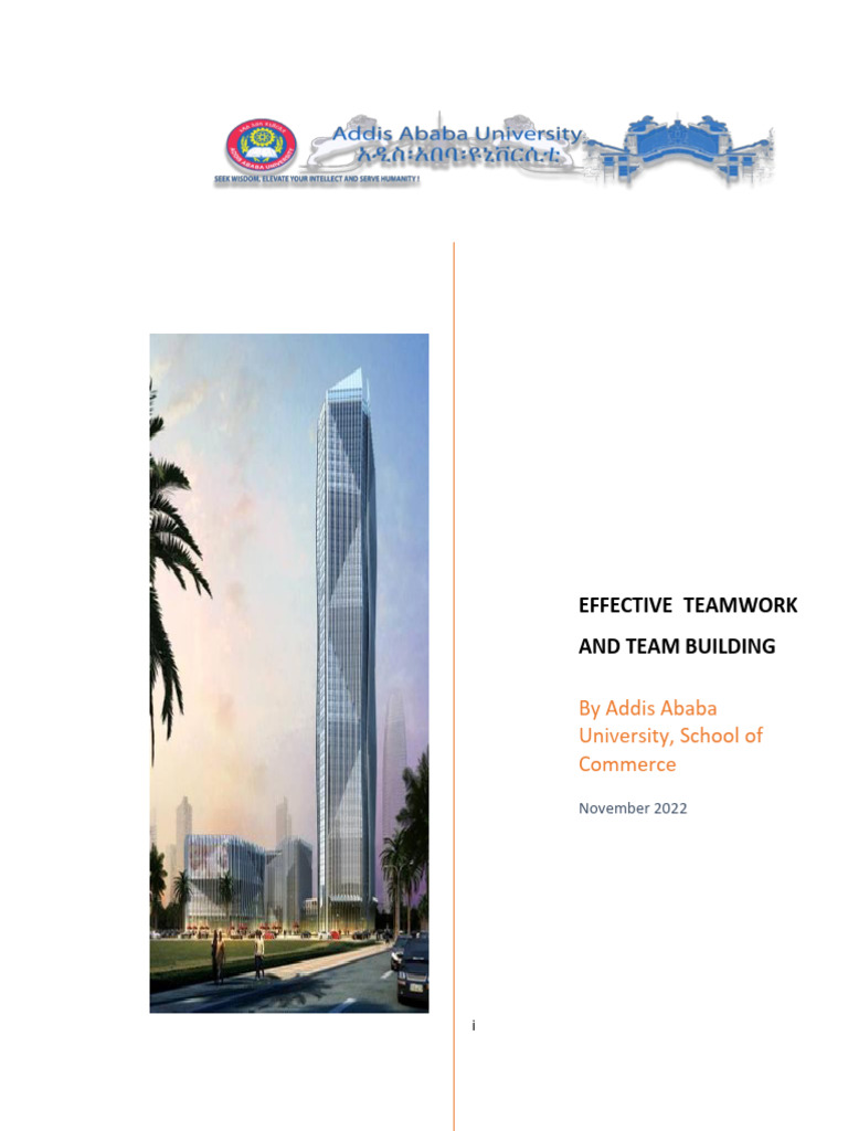 Effective Team Work and Development271 | PDF | Leadership | Goal