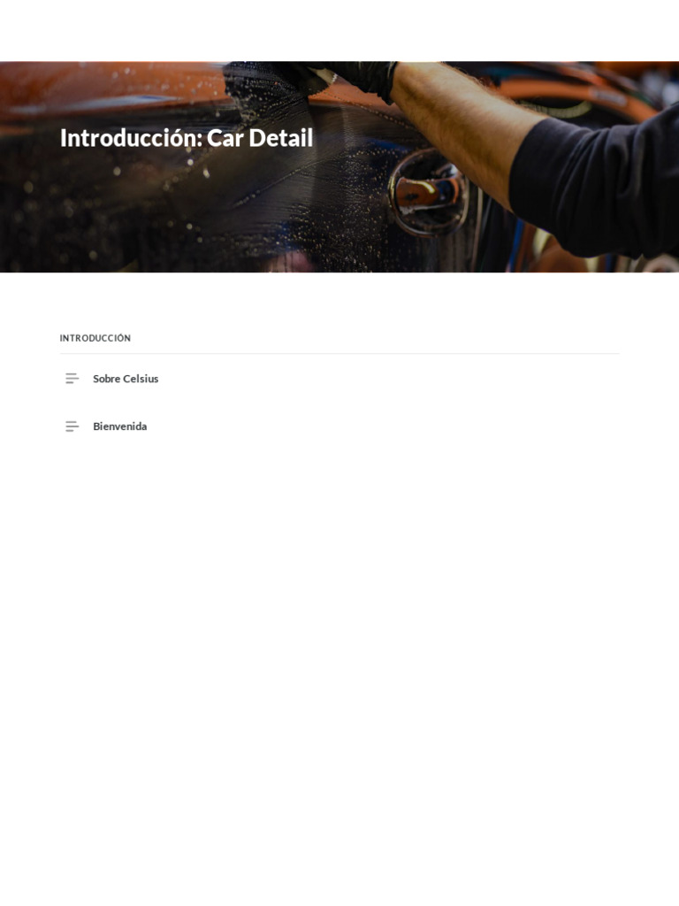 Introduccion Car Detailing | PDF