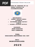 Gradiente Definicion y Gradiente Quimico | PDF | Degradado | Concentración