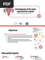 Wire Hanging Test | PDF | Mouse | Experiment