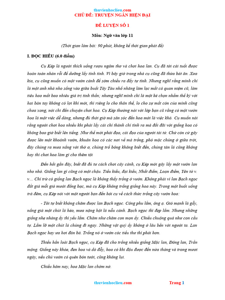 Bo de Luyen Doc Hieu Viet Ngu Van 11 Phan Truyen Ngan | PDF