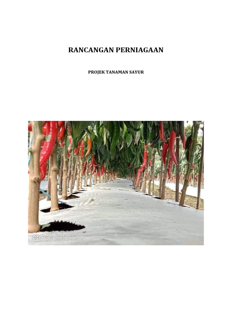 Proposal Cili Atas Tanah | PDF