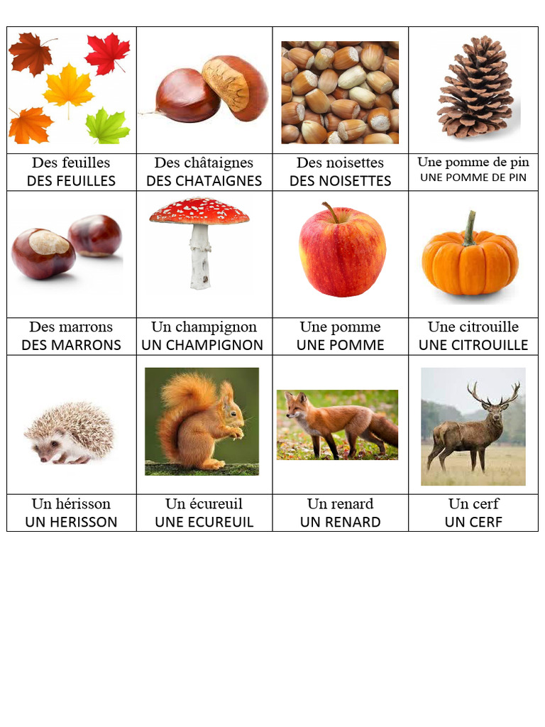 Mots Automne | PDF