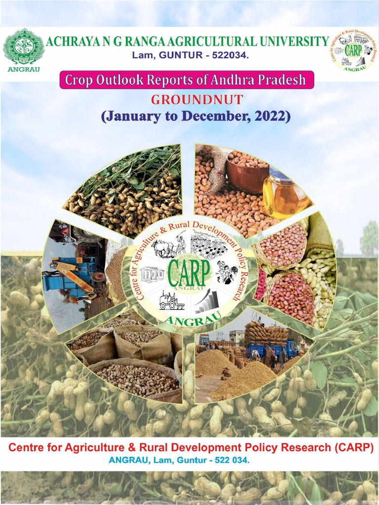 10 Groundnut Outlook Report January To December 2022 Pdf Peanuts