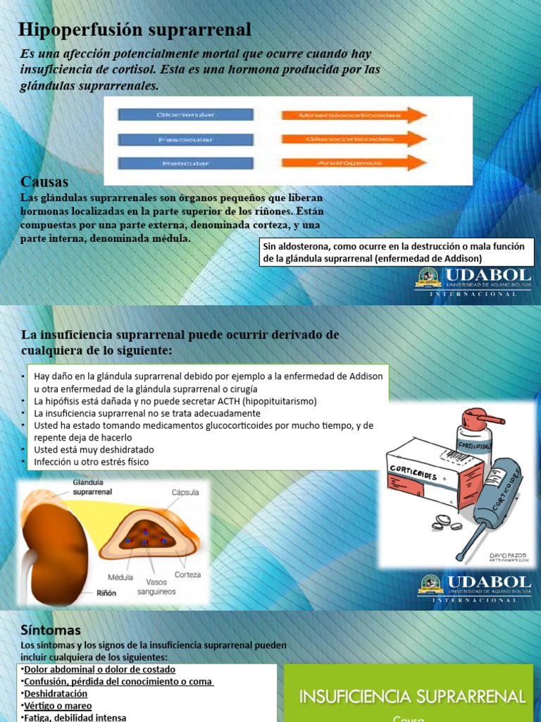 Hipoperfusion Suprarrenal | PDF