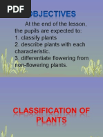 Grade V Lesson Plan: Understanding Plants | PDF | Plants | Leaf