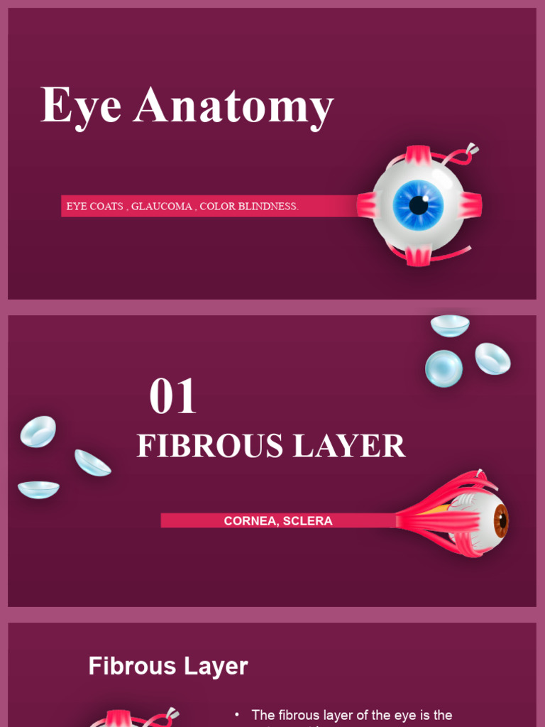 Eye PPT 01 | PDF | Human Eye | Glaucoma