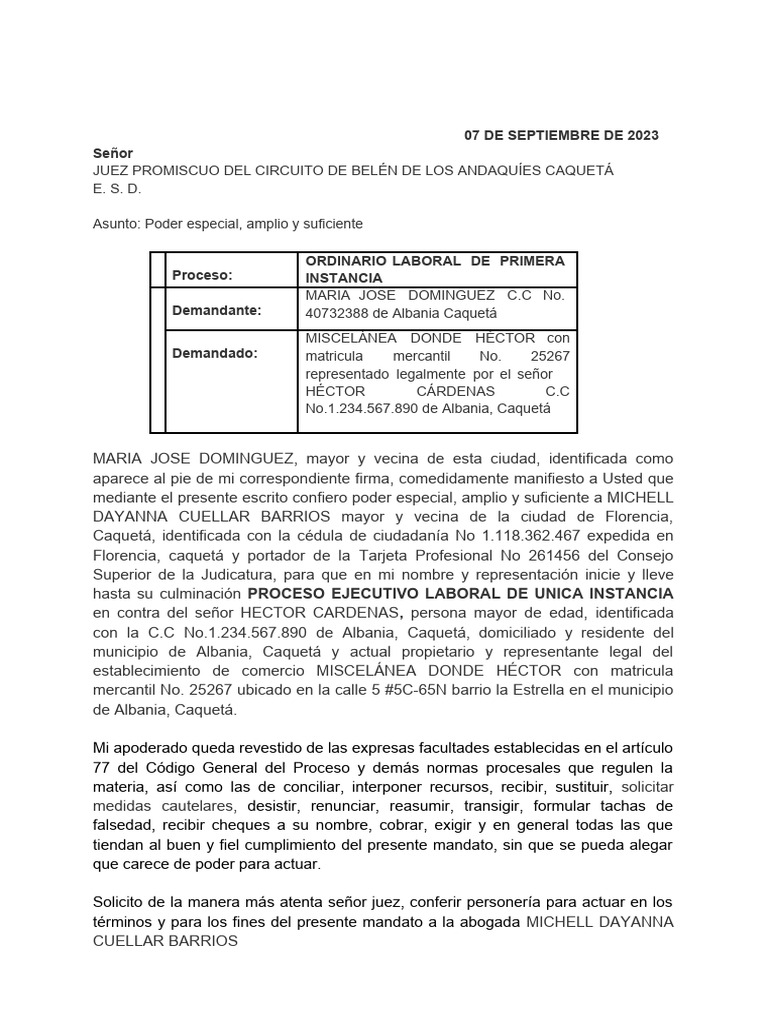 Modelo de Poderes | PDF | Gobierno | Justicia