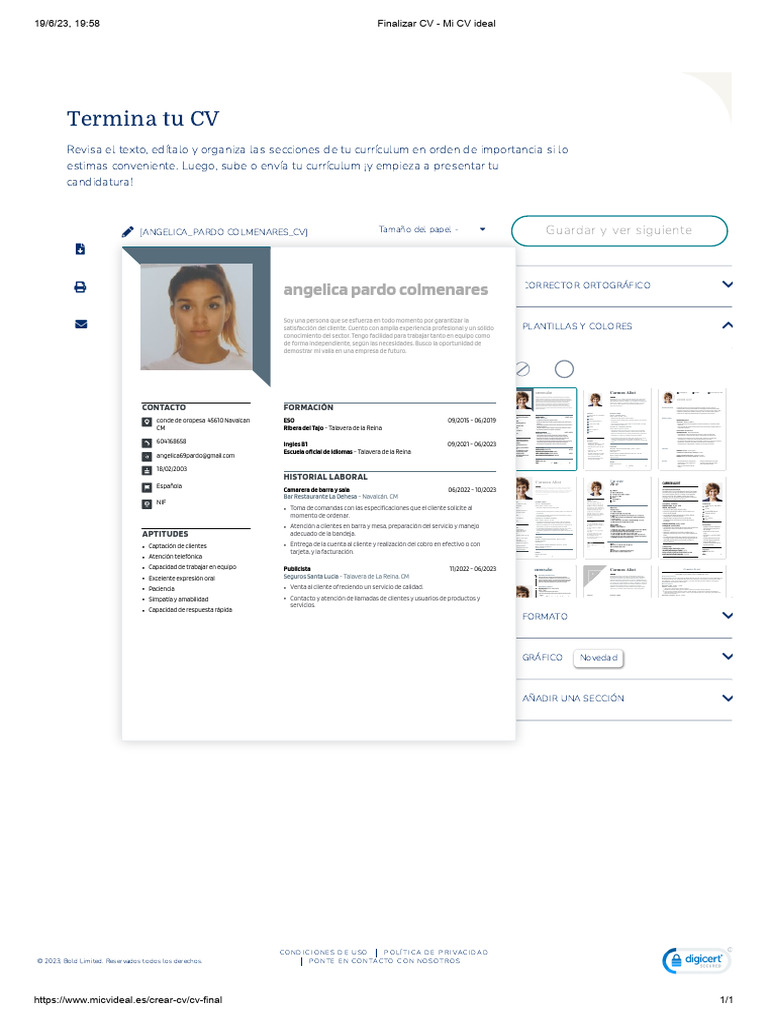 Finalizar CV - Mi CV Ideal | PDF | Diseño gráfico | Ilustrador Adobe