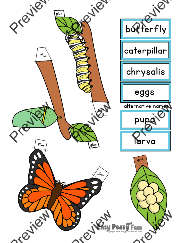 Demo Butterfly Life Cycle Craft 3 DDiorama Craft Activity 8531748 | PDF ...