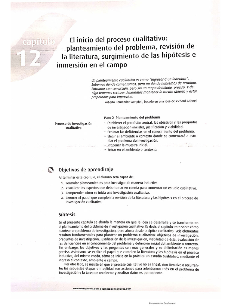 El Inicio Del Proceso Cualitativo. Sampieri | PDF