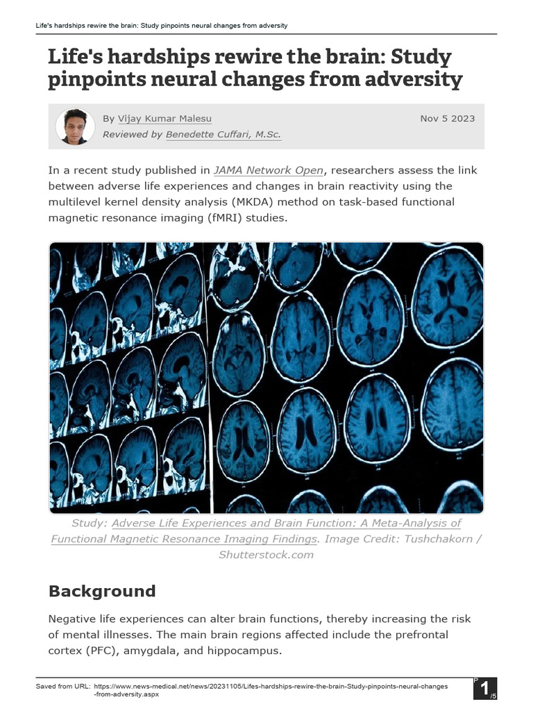 Lifes Hardships Rewire The Brain Study Pinpoints Neural Changes From ...