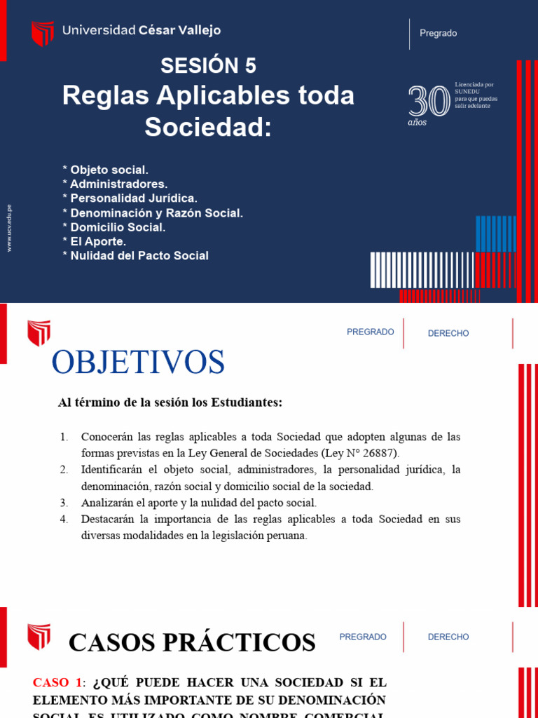 Sesion 05 | PDF | Sociedad de responsabilidad limitada | Bienes (Ley)