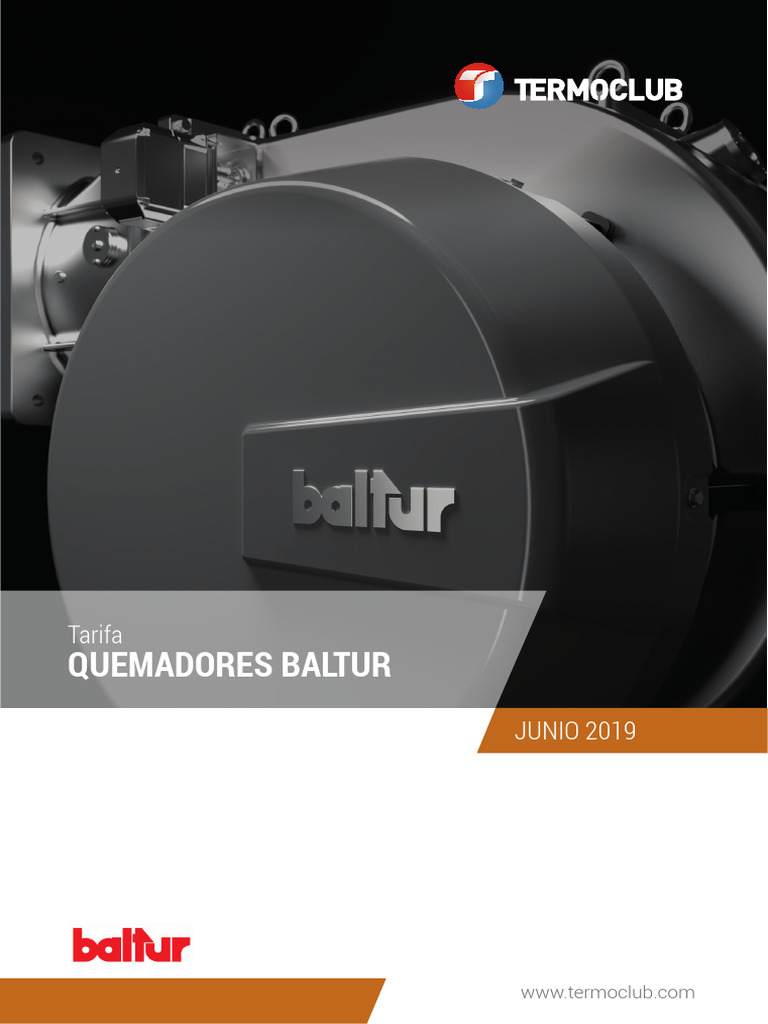 Baltur 2019 | PDF | Combustión | Sustancias químicas