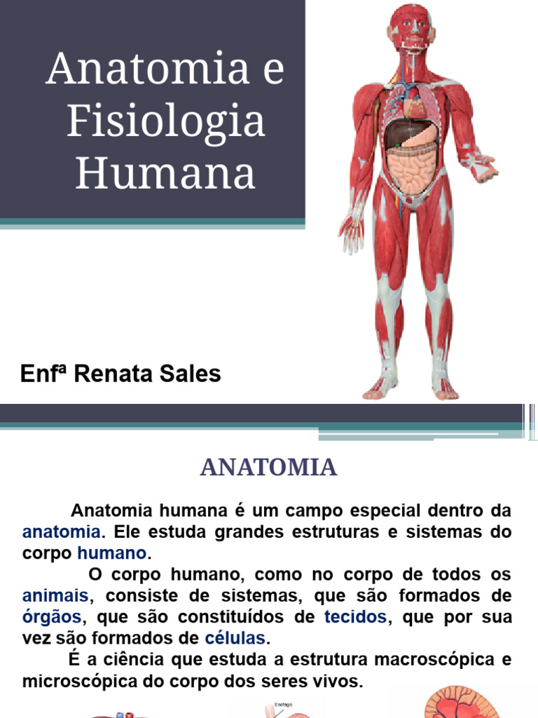 Anatomia e Fisiologia Humana PDF | PDF | Anatomia | Corpo humano