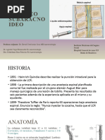 Test de Dubowitz | PDF | Tobillo | Pie