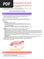 Definición de mácula y pápula en piel | PDF | Piel | Sistema tegumentario