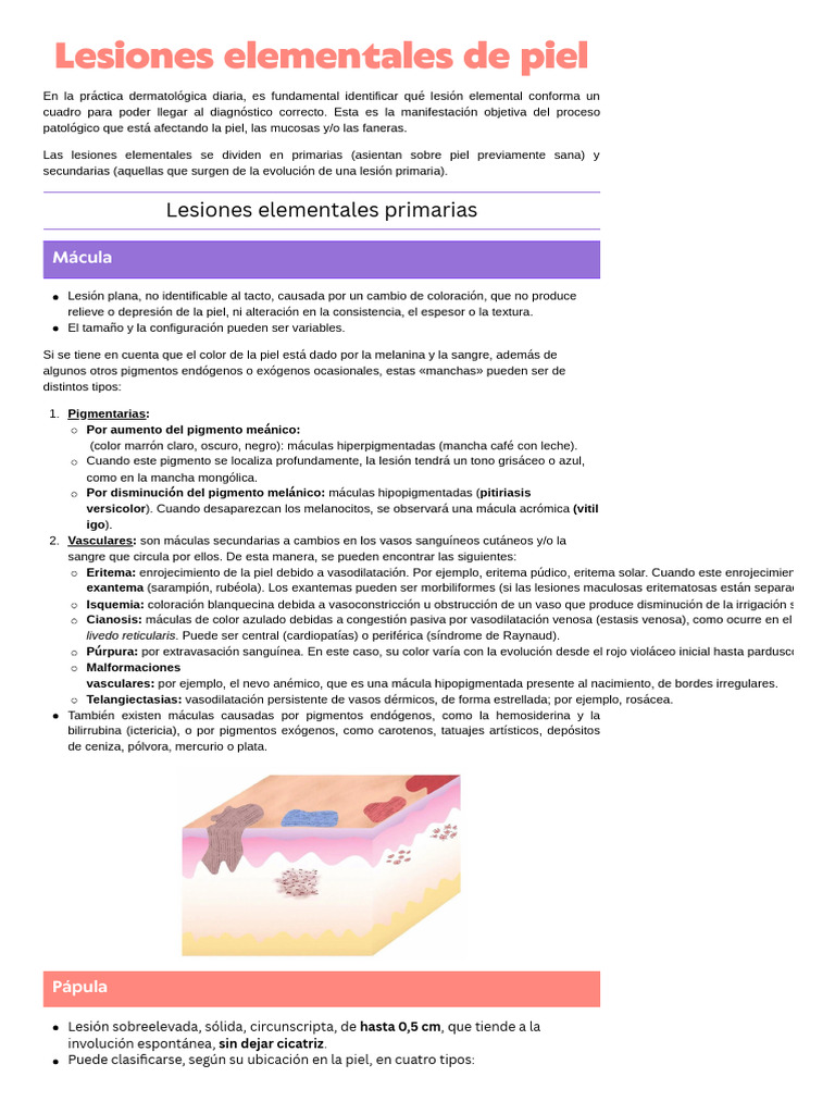 MIYCC II - Lesiones Elementales de La Piel | PDF | Piel | Atrofia