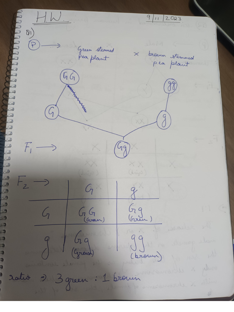 Biology Heredity Homework Geet Sachar | PDF