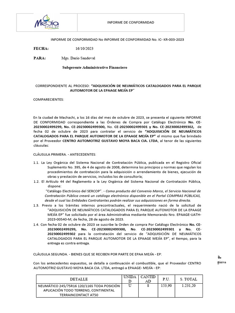 Informe de Conformidad Neumaticos 2023 | PDF